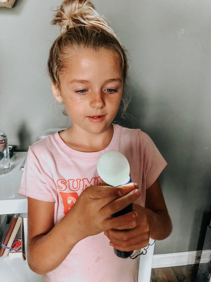 Hatching Baby Chicks at Home | Madison Vining Blog