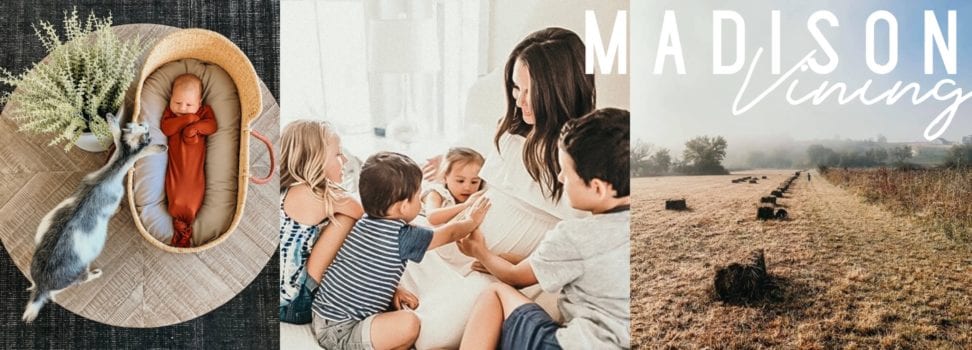Madison Vining Blog | Daughter of a Good Good Father. Wife. Mama of 6 ...